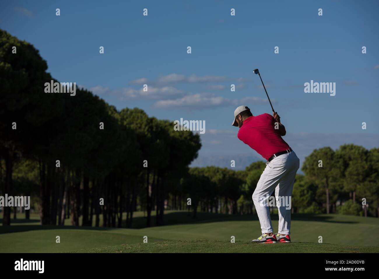 golf player hitting long shot Stock Photo - Alamy