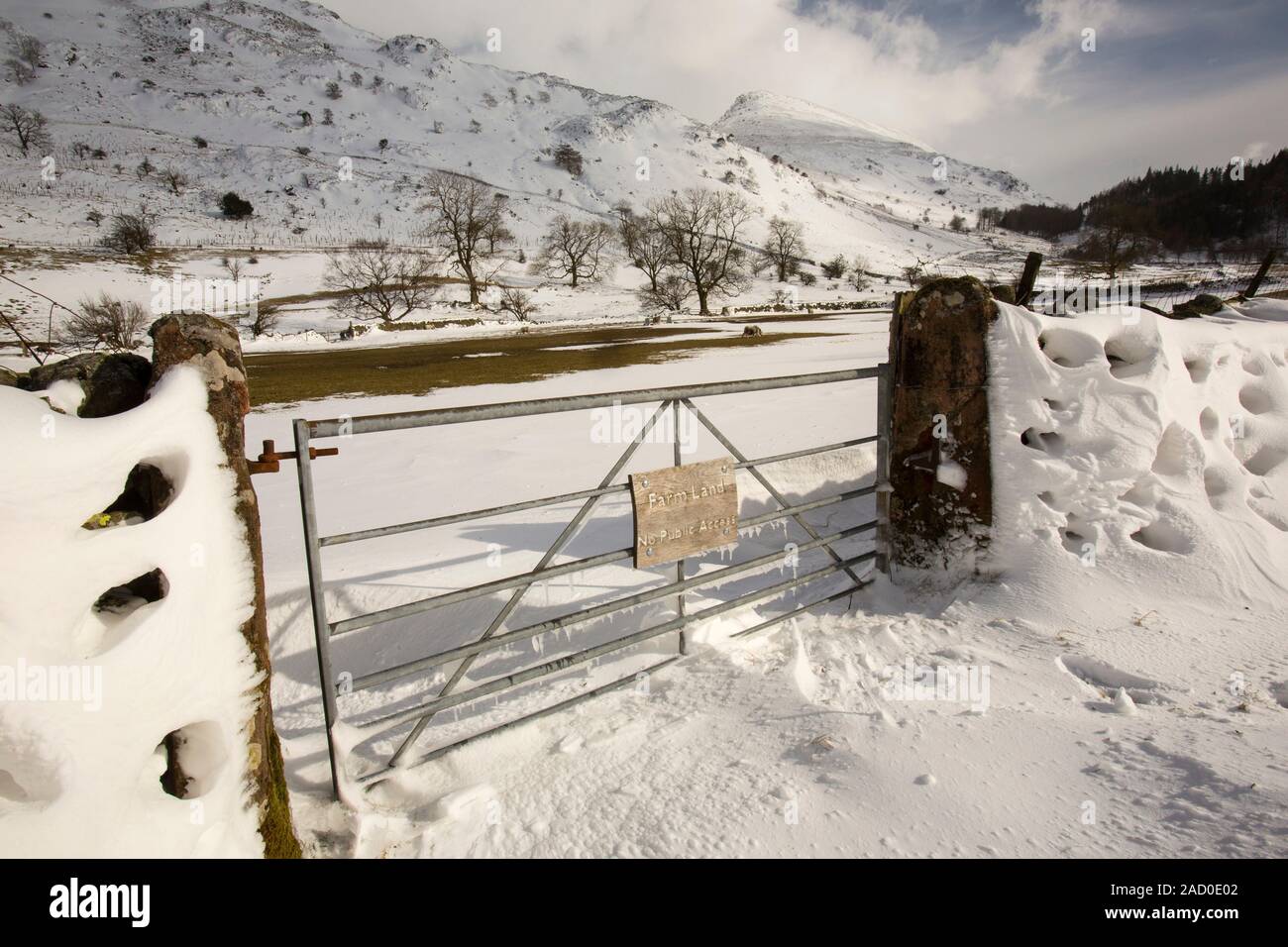 Snowdrifts below Helvellyn during the extreme winter weather during the ...
