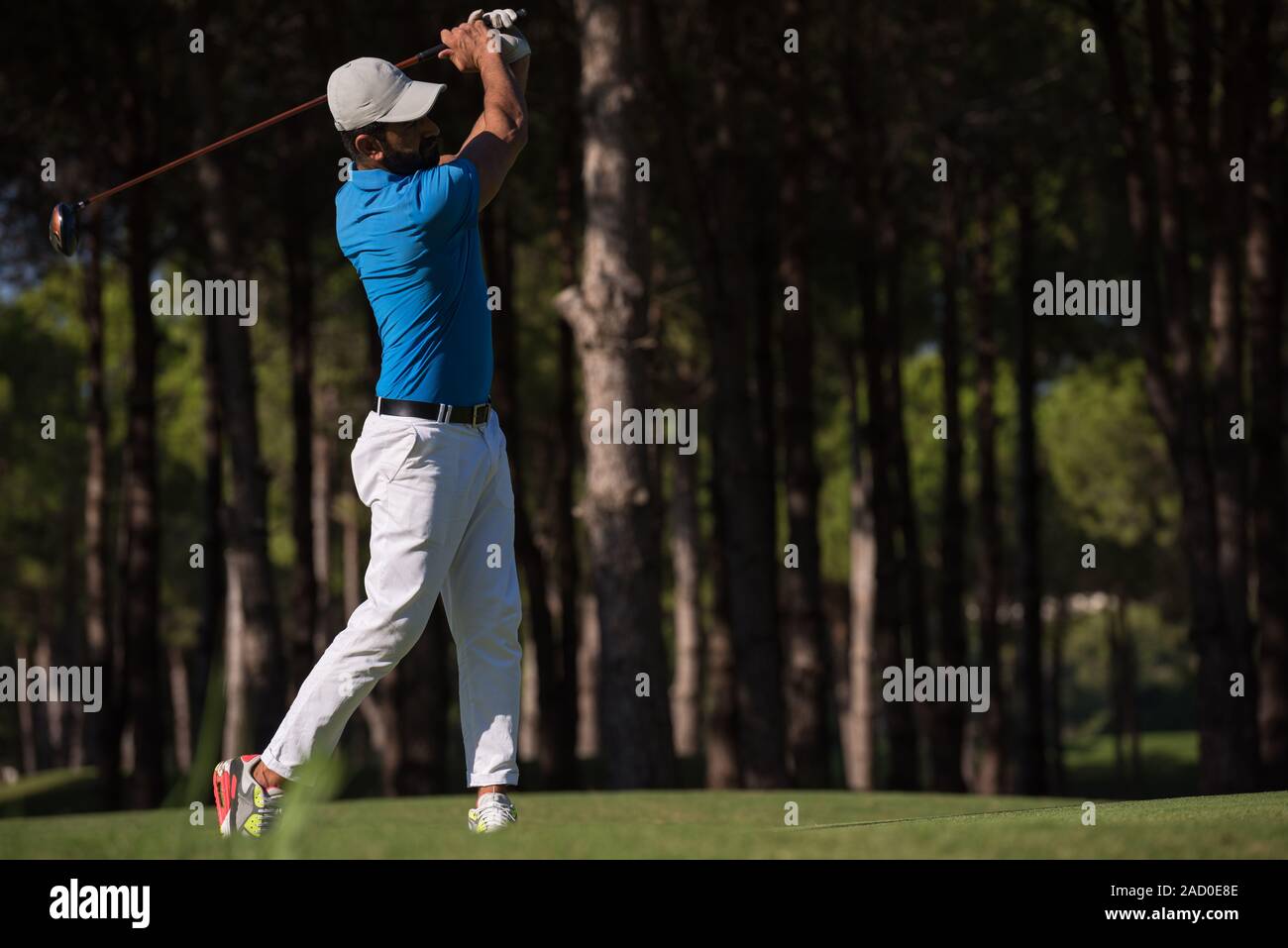golf player hitting shot Stock Photo - Alamy