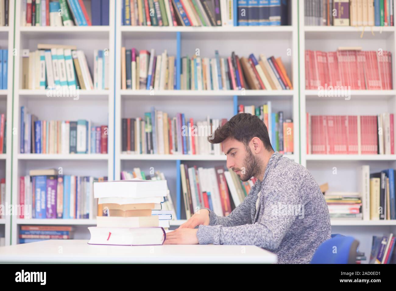 portrait of student while reading book in school library Stock Photo ...