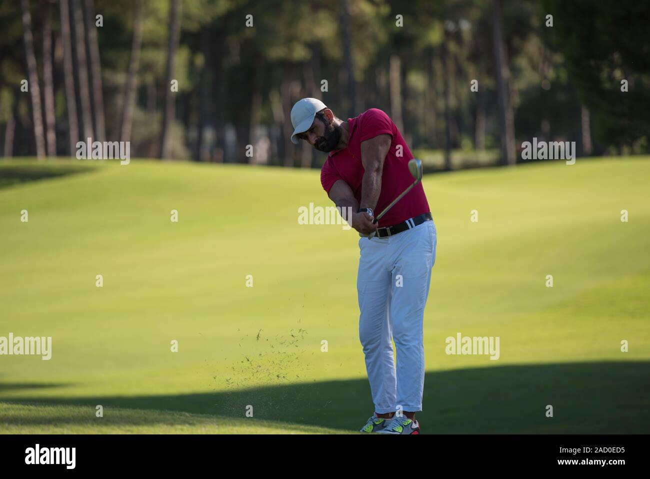 golf player hitting long shot Stock Photo - Alamy