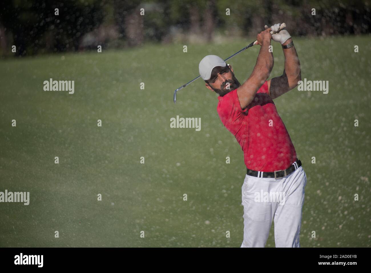 golfer hitting a sand bunker shot Stock Photo - Alamy