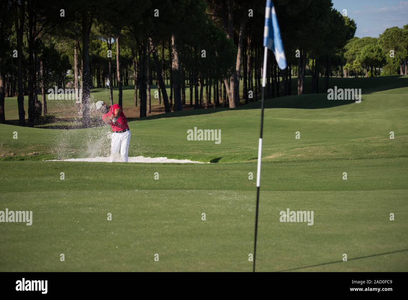 golfer hitting a sand bunker shot Stock Photo - Alamy
