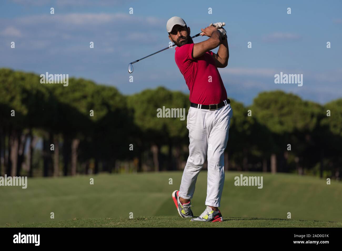 golf player hitting long shot Stock Photo - Alamy