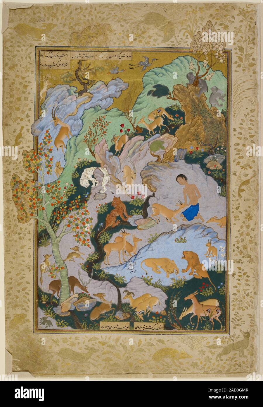 Majnun with the animals in the desert. A miniature painting with golden ...
