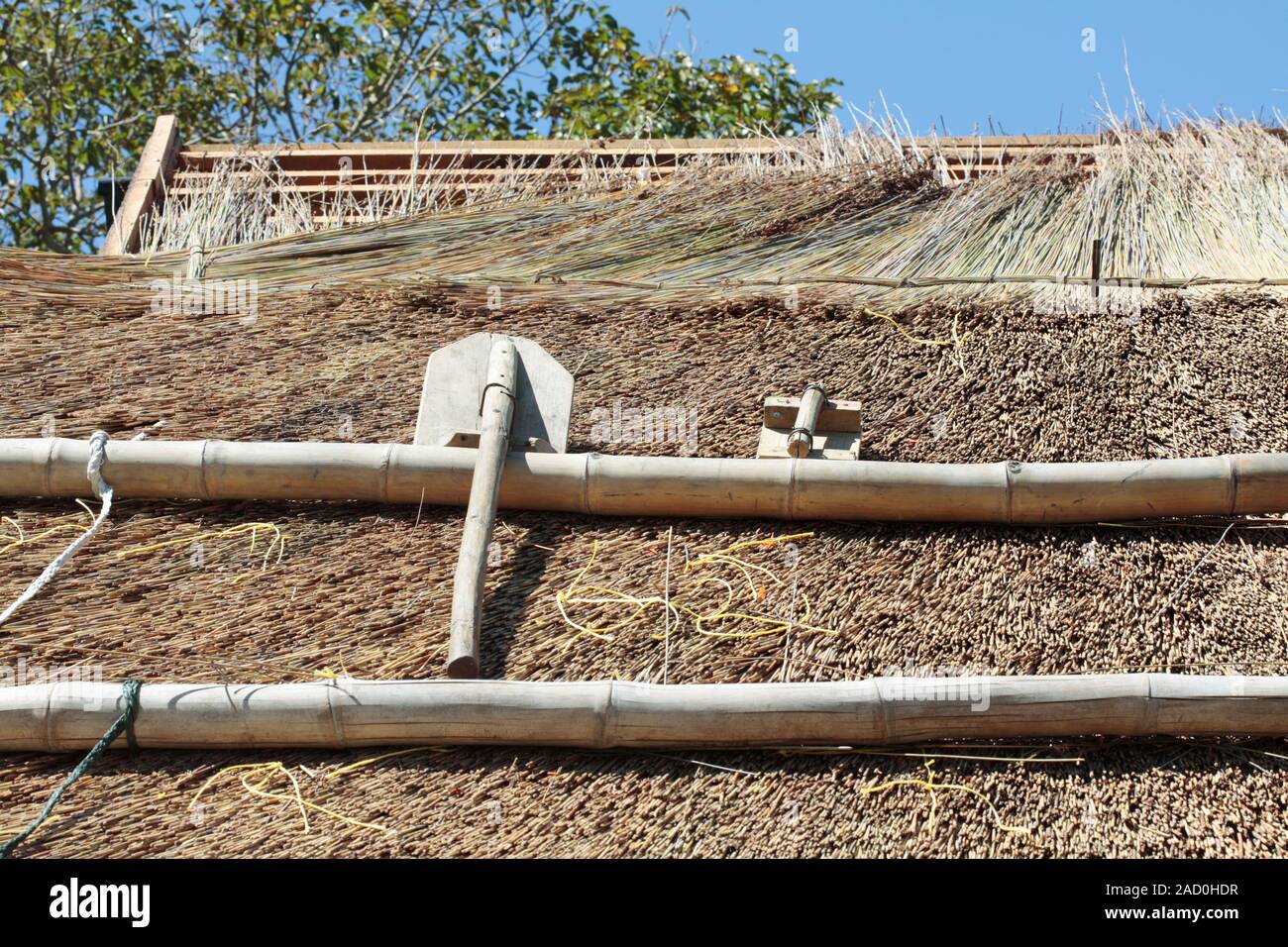 Thatching a roof. Traditional thatching tools on the roof of a house ...