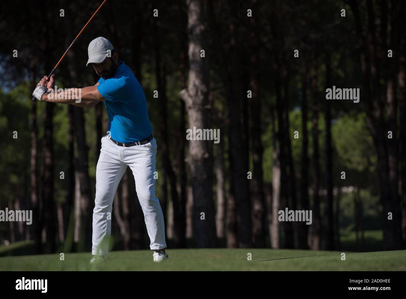 golf player hitting shot Stock Photo - Alamy