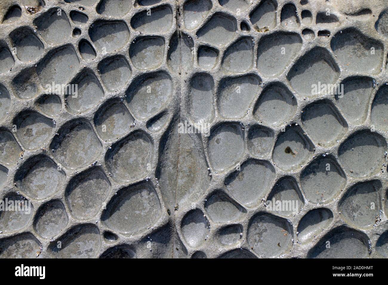 Coastal erosion patterns in rock. Close-up of coastal erosion patterns ...