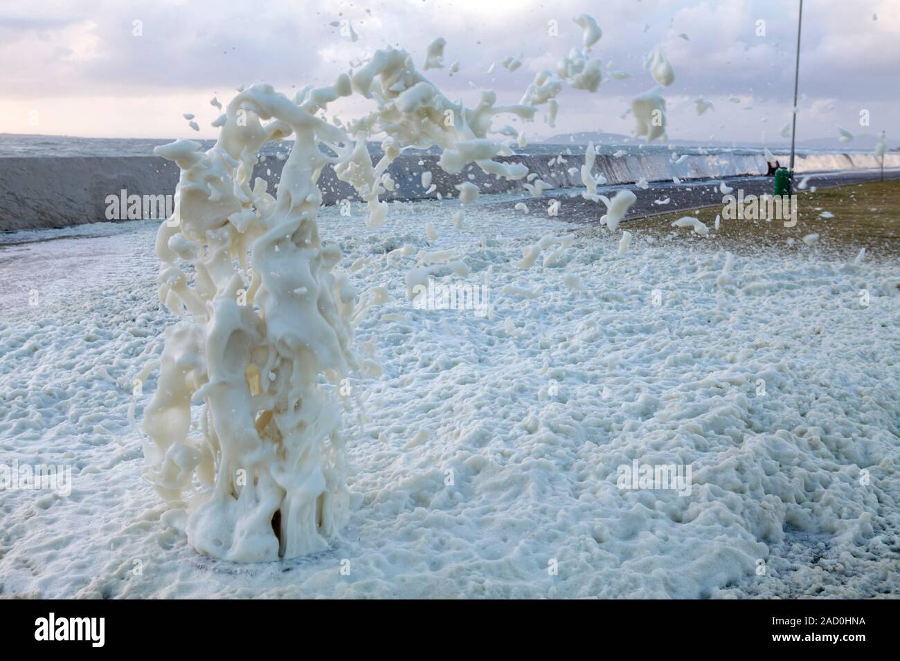Sea foam after a storm. Sea foam (spume) produced during a recent storm ...