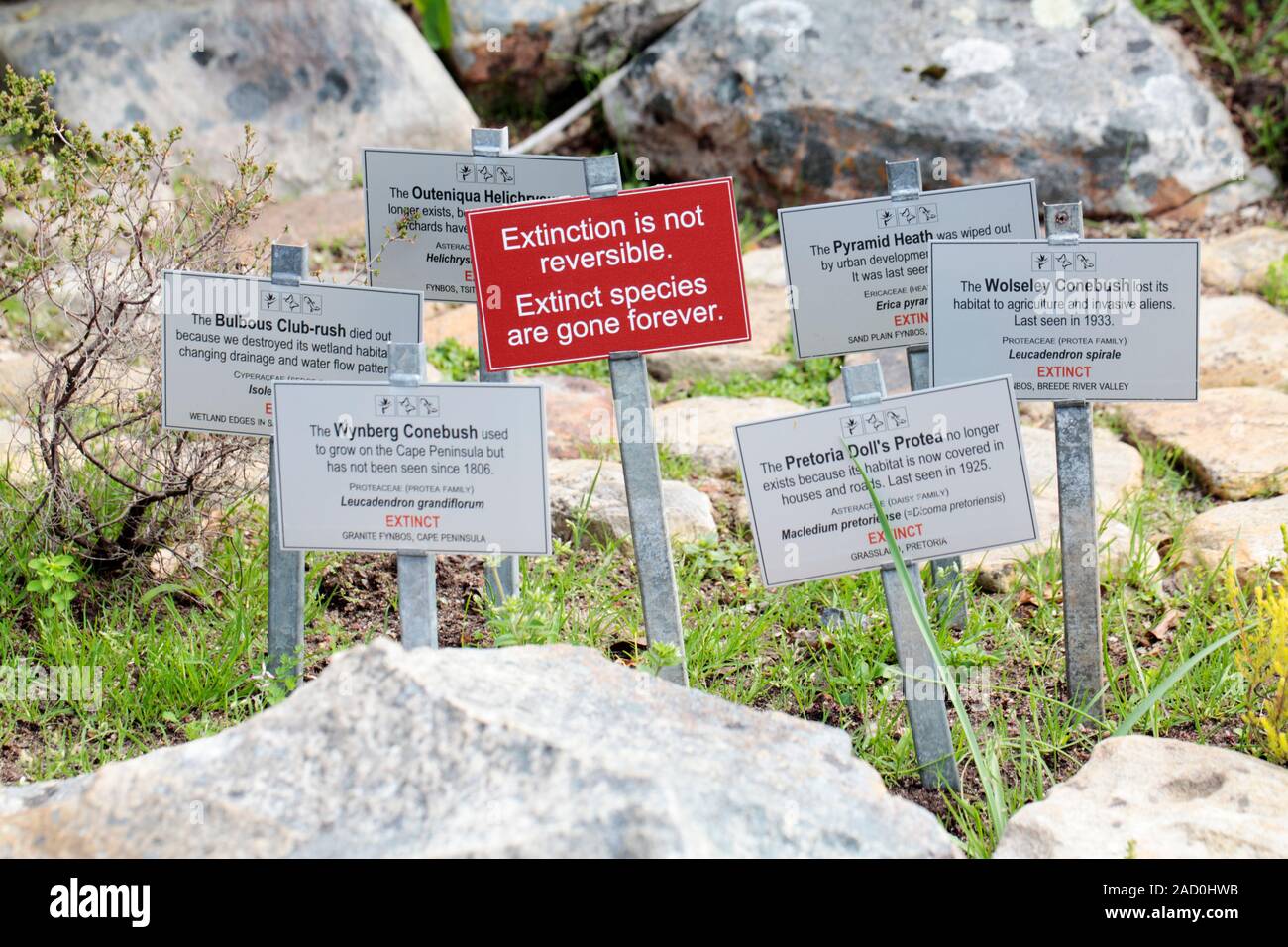 Extinction signs. Signs used to educate visitors about the plant ...
