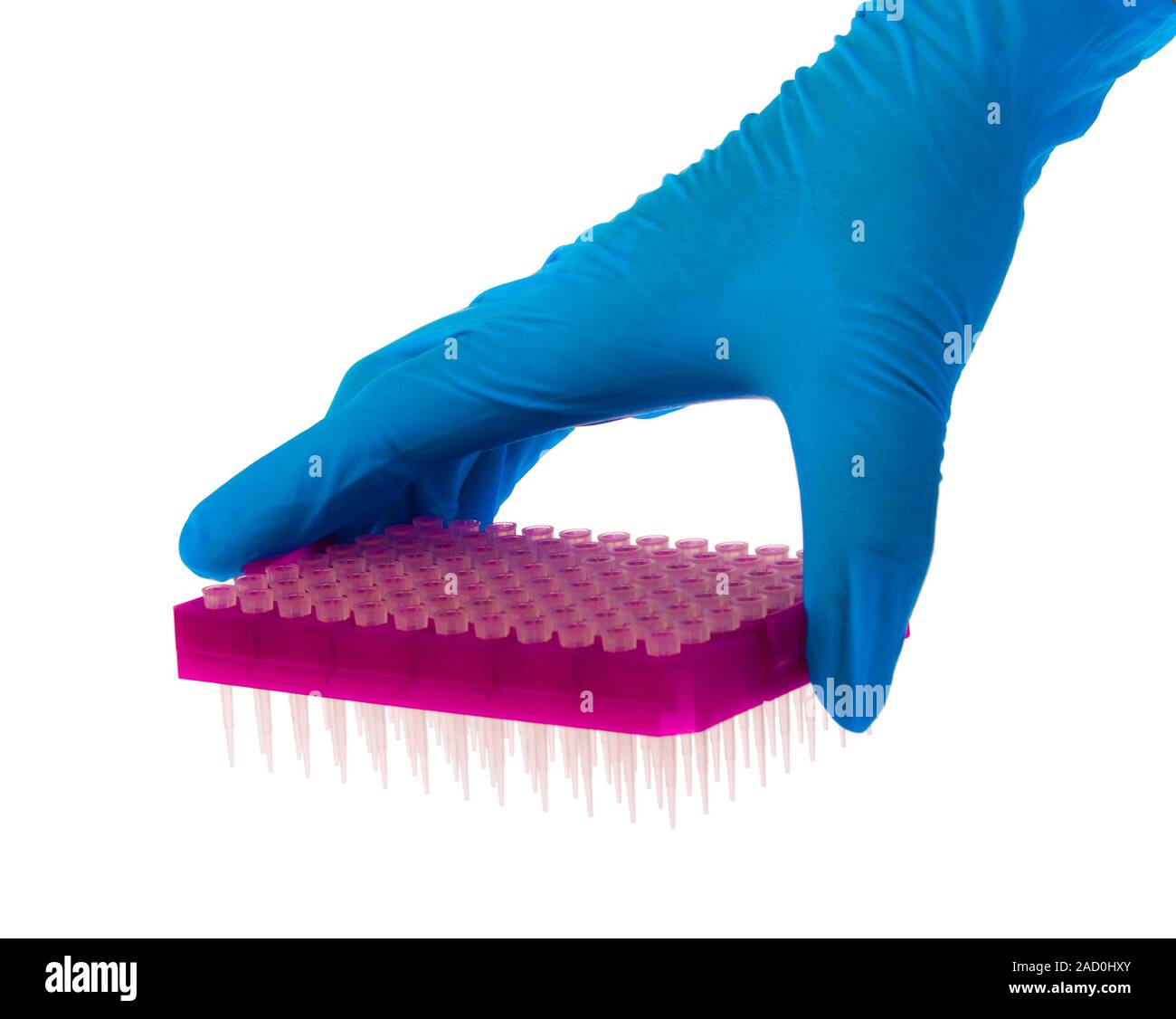 Lab equipment. Latex-gloved hand with specimen tubes Stock Photo - Alamy