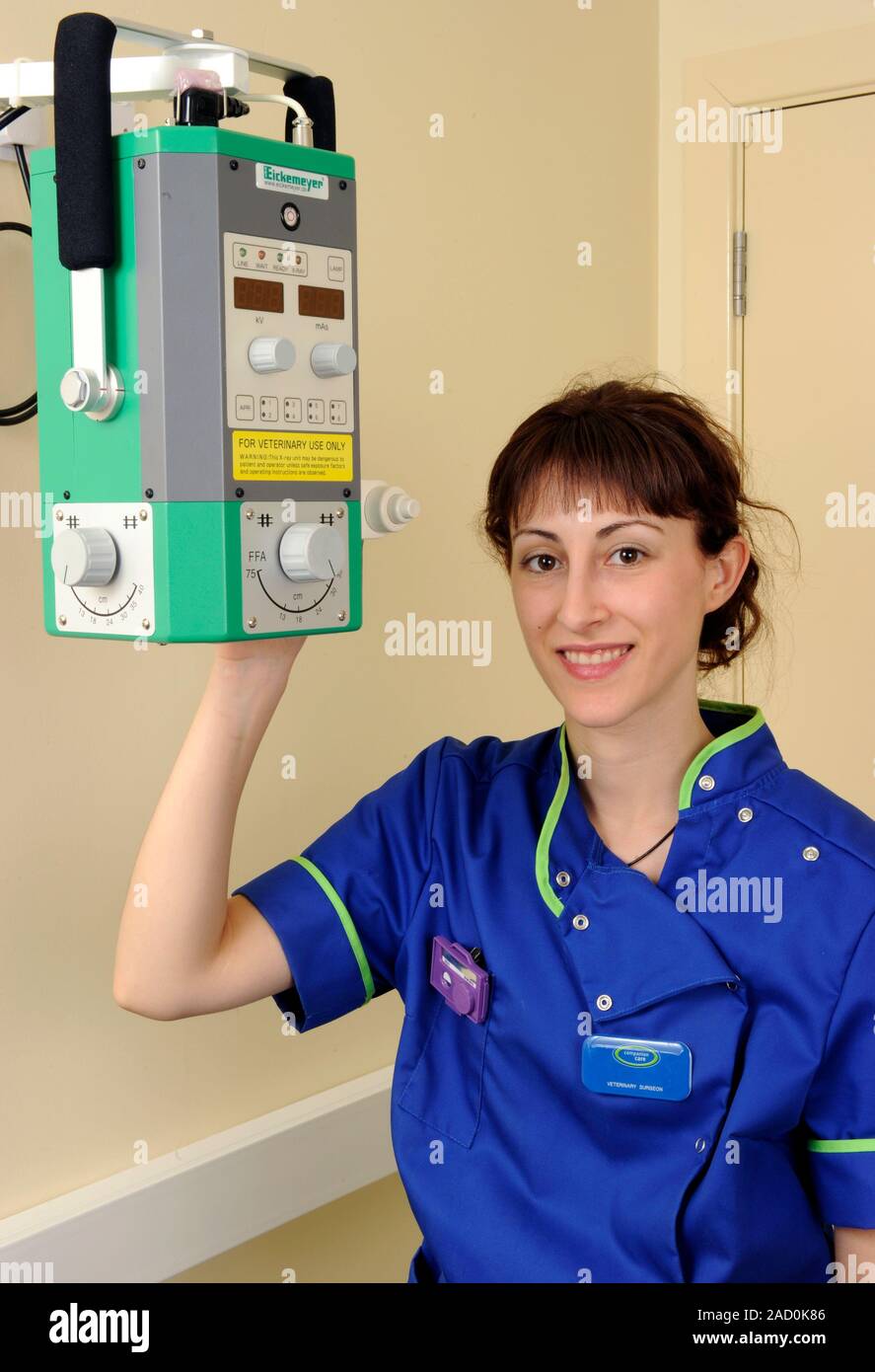 Veterinary radiography. Veterinary surgeon with an X-ray machine ...