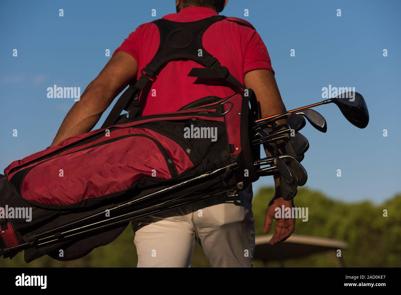 close up of golfers back while walking and carrying golf bag Stock ...