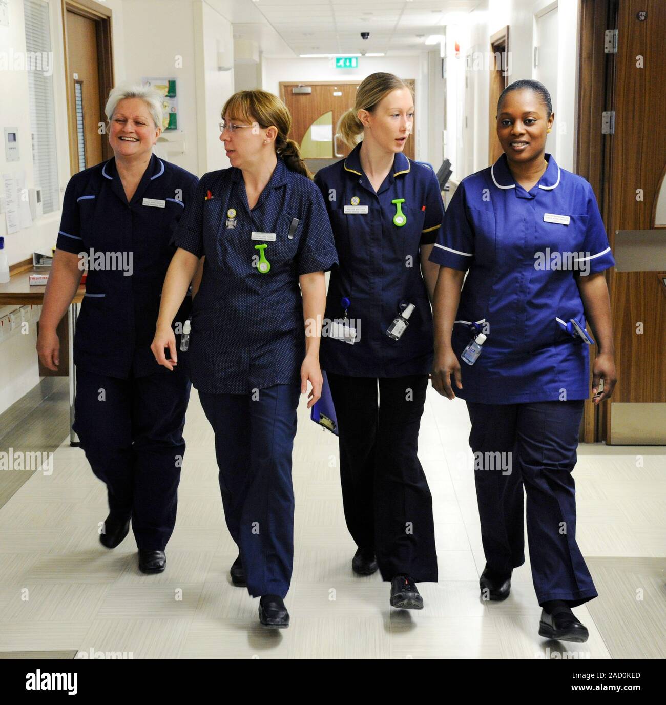 Infection control nurses. Infection prevention and control nurses in a ...
