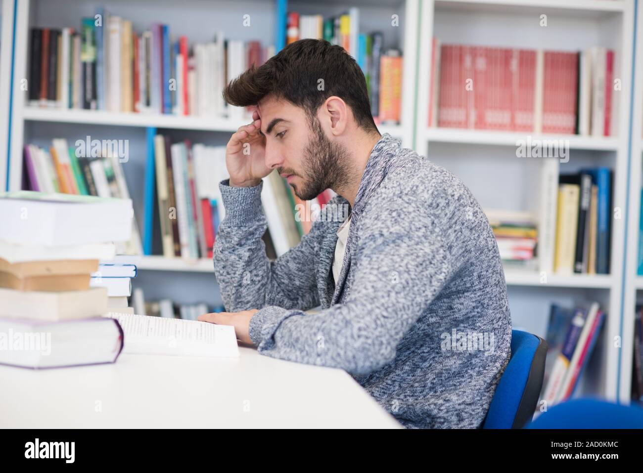portrait of student while reading book in school library Stock Photo ...