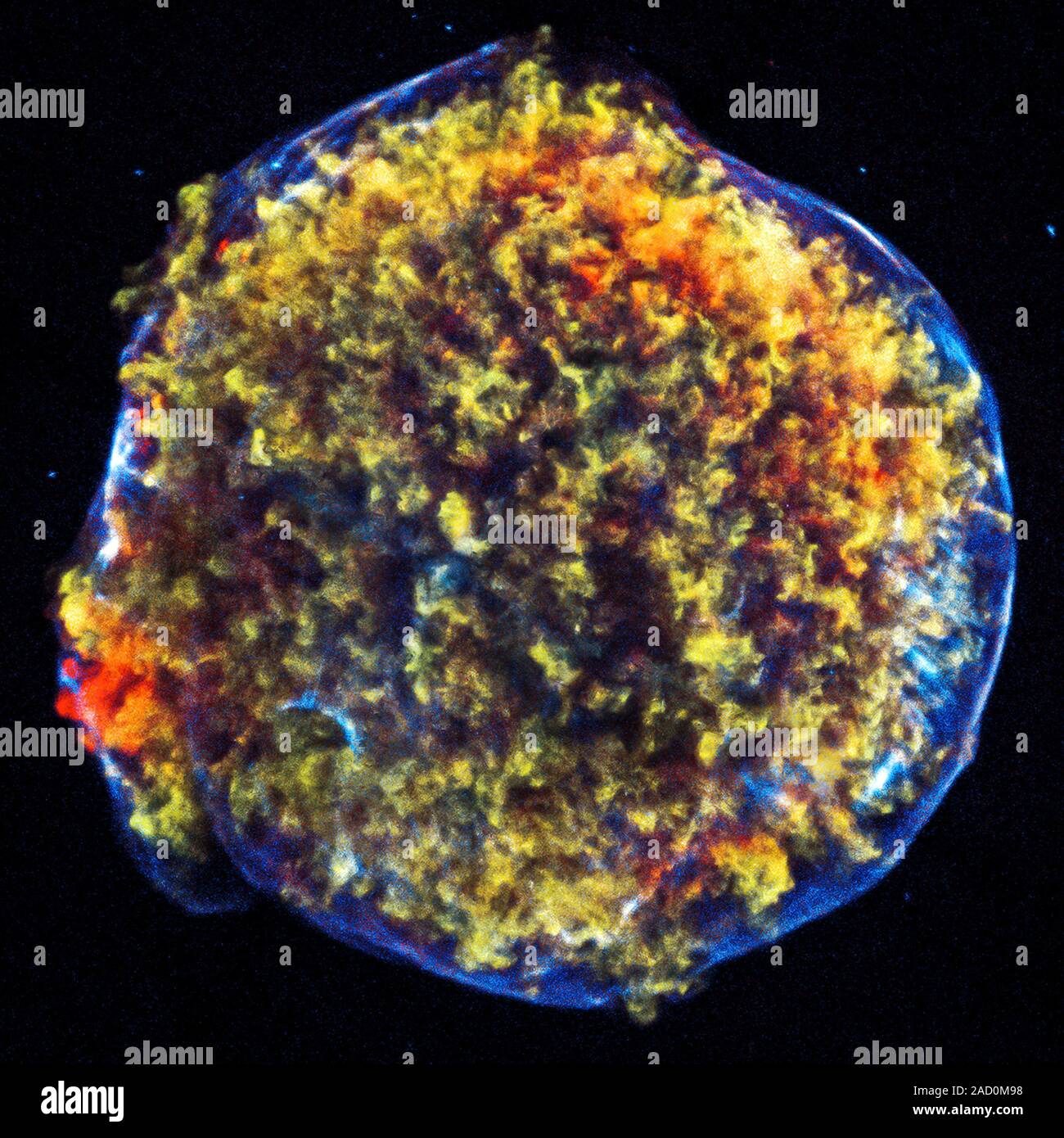 Supernova remnant. X-ray space telescope image of the Tycho supernova ...