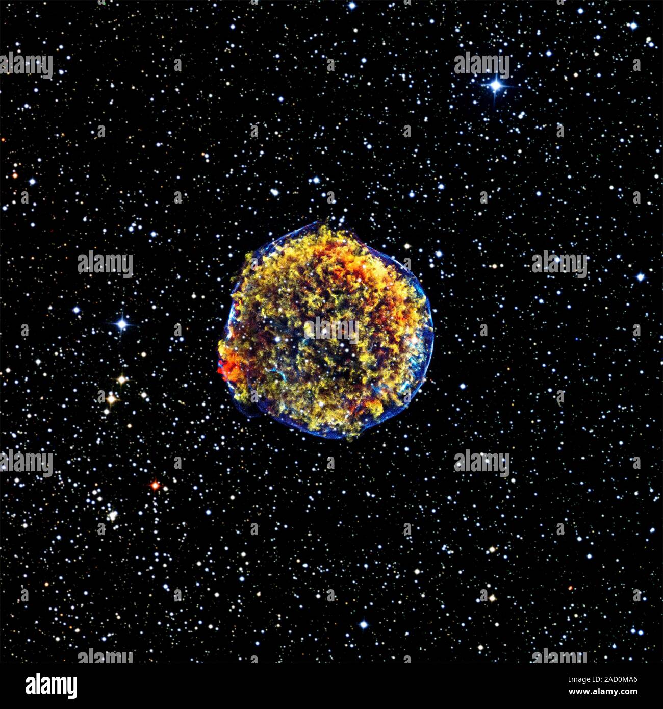 Supernova remnant. X-ray space telescope image of the Tycho supernova remnant. The supersonic ...