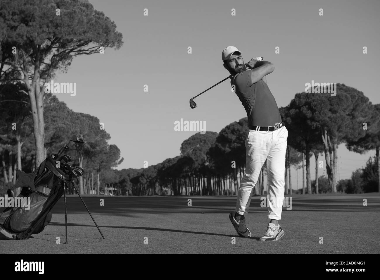 golf player hitting shot Stock Photo - Alamy