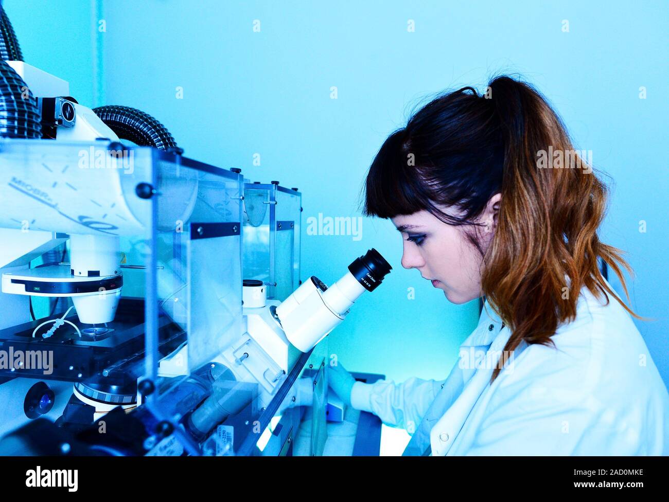 Calcium-imaging neuron microscopy. Researcher using an advanced ...