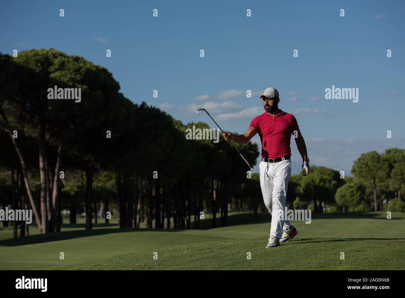 golf player walking and carrying driver Stock Photo - Alamy