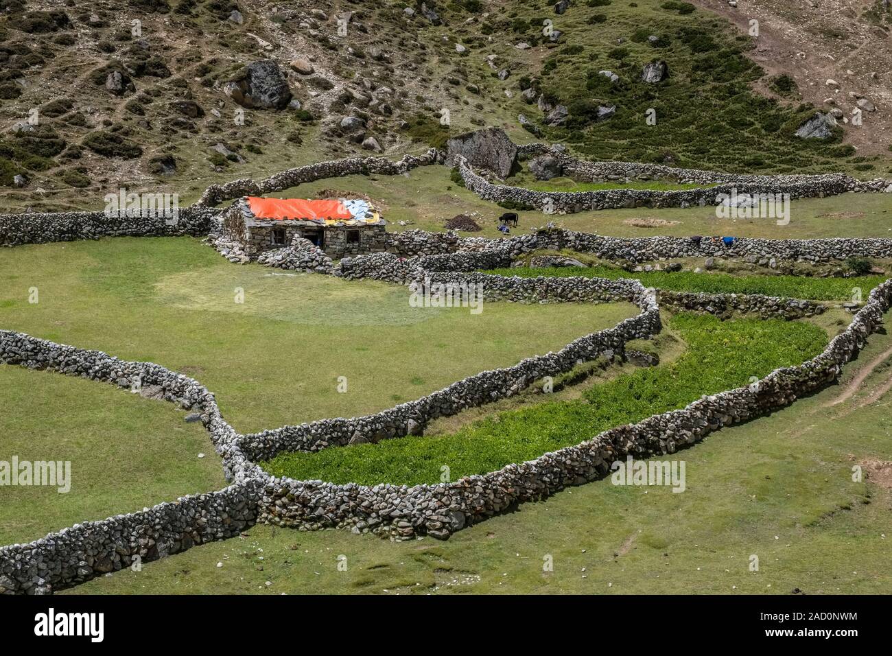 Farmers stone hi-res stock photography and images - Alamy