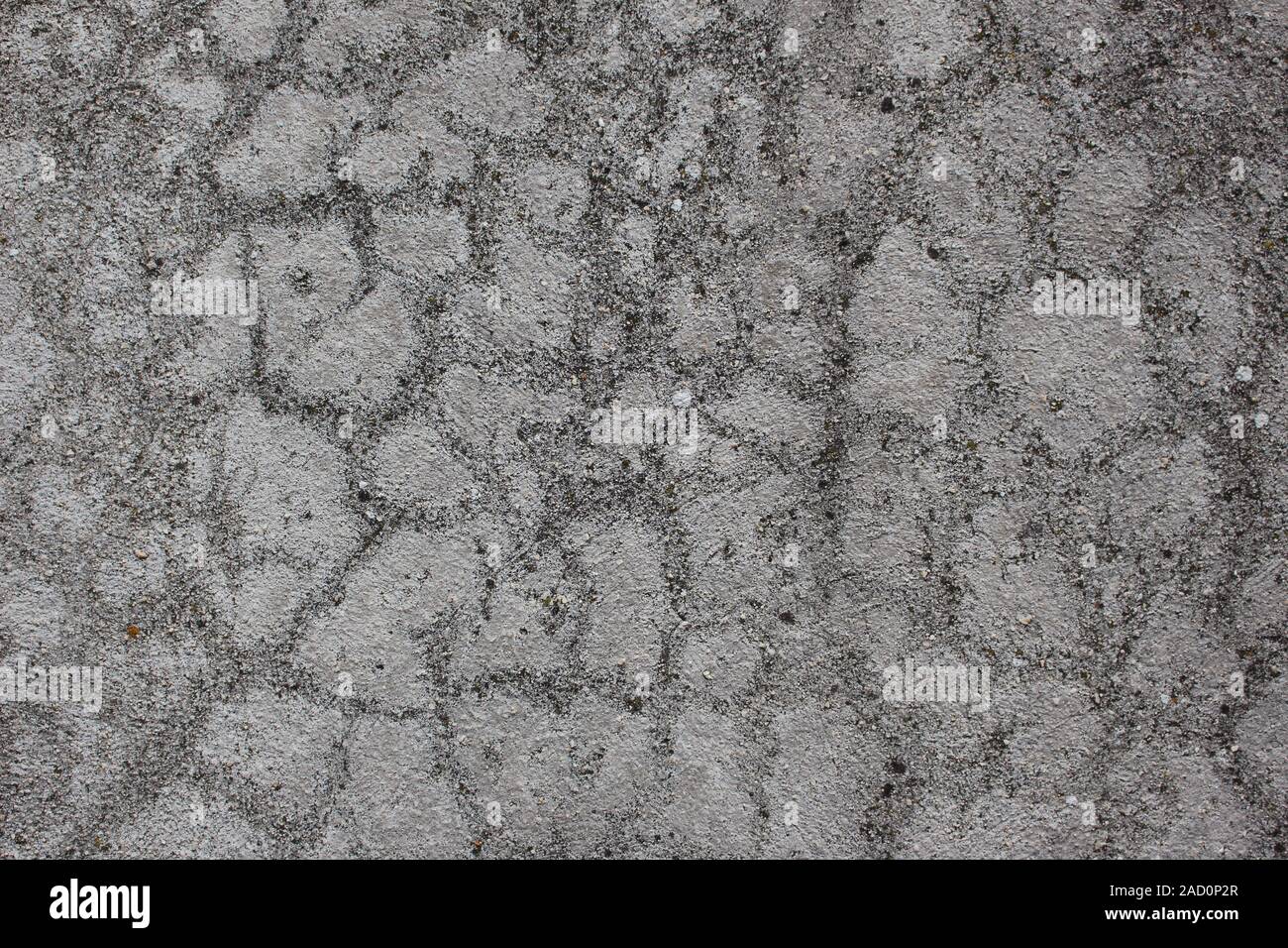 Abstract Leopard pattern on gray plaster on a concrete wall Stock Photo ...