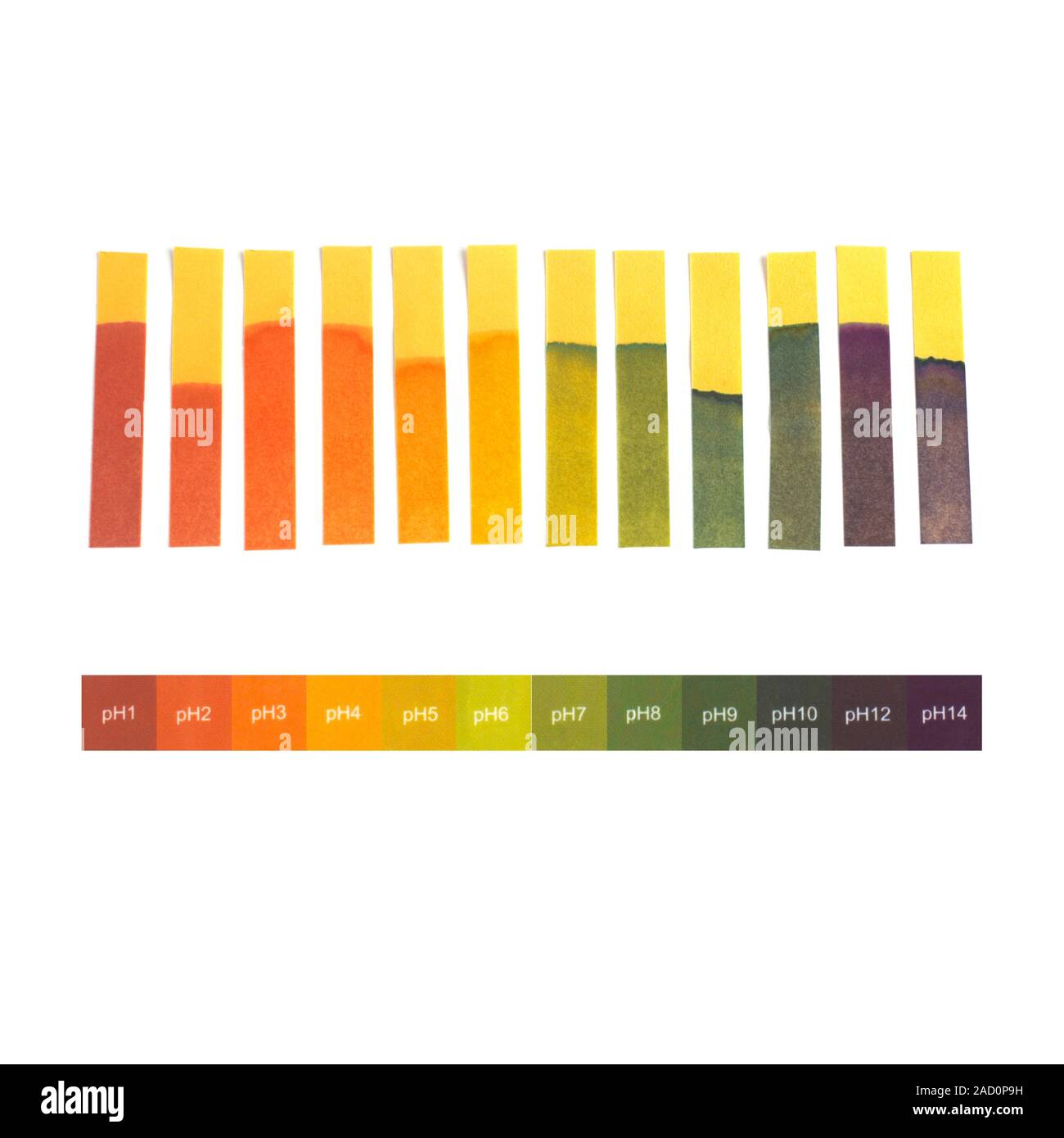 Universal indicator paper. Strips of universal indicator paper that ...