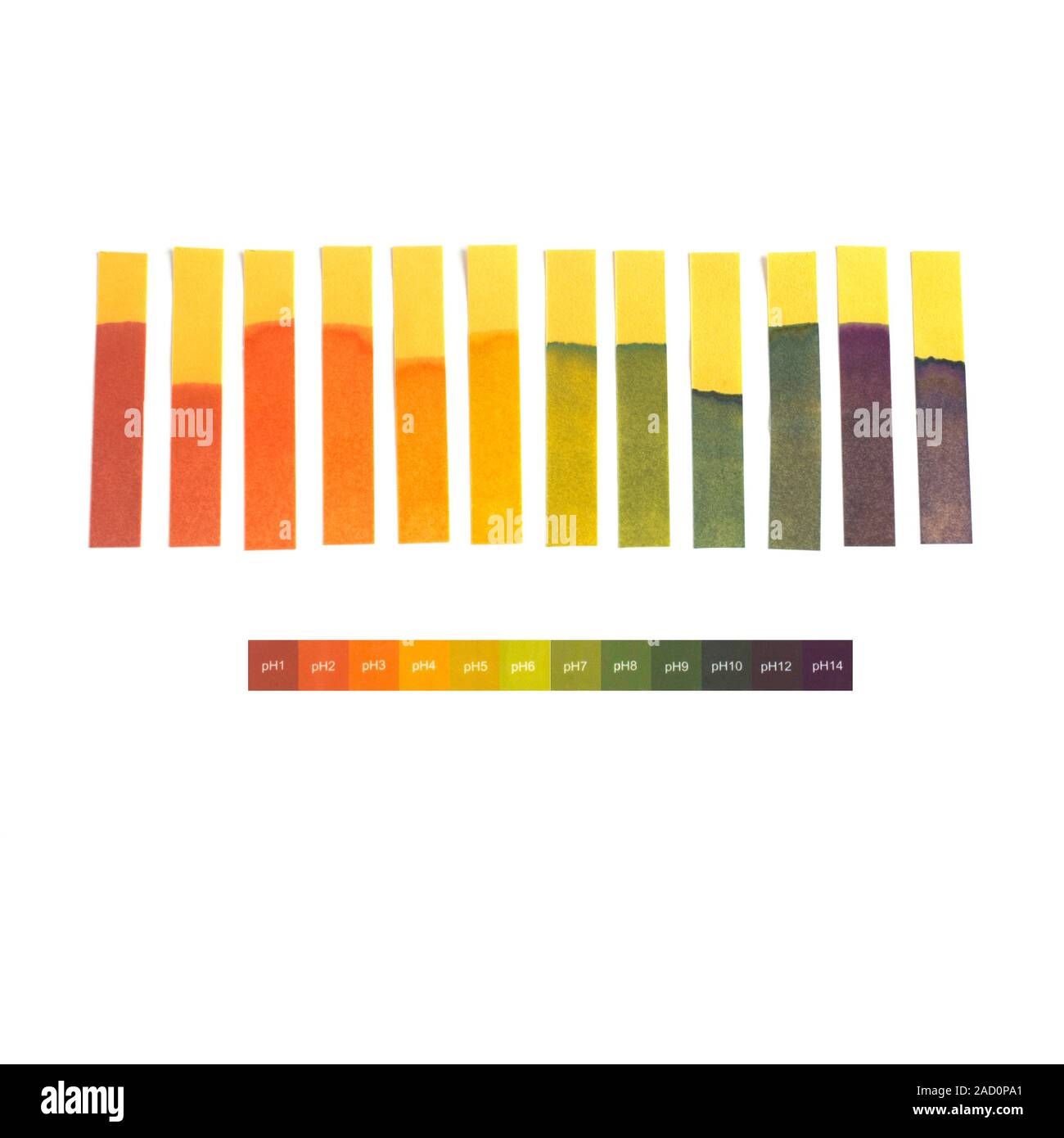 Universal indicator paper. Strips of universal indicator paper that ...