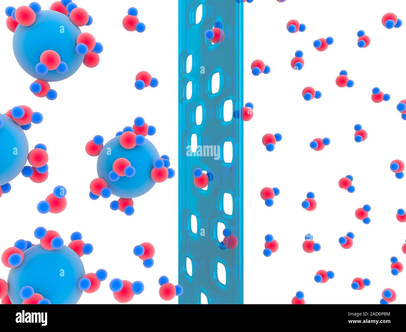 Water flow in osmosis. Illustration of the phenomenon of osmosis, the ...