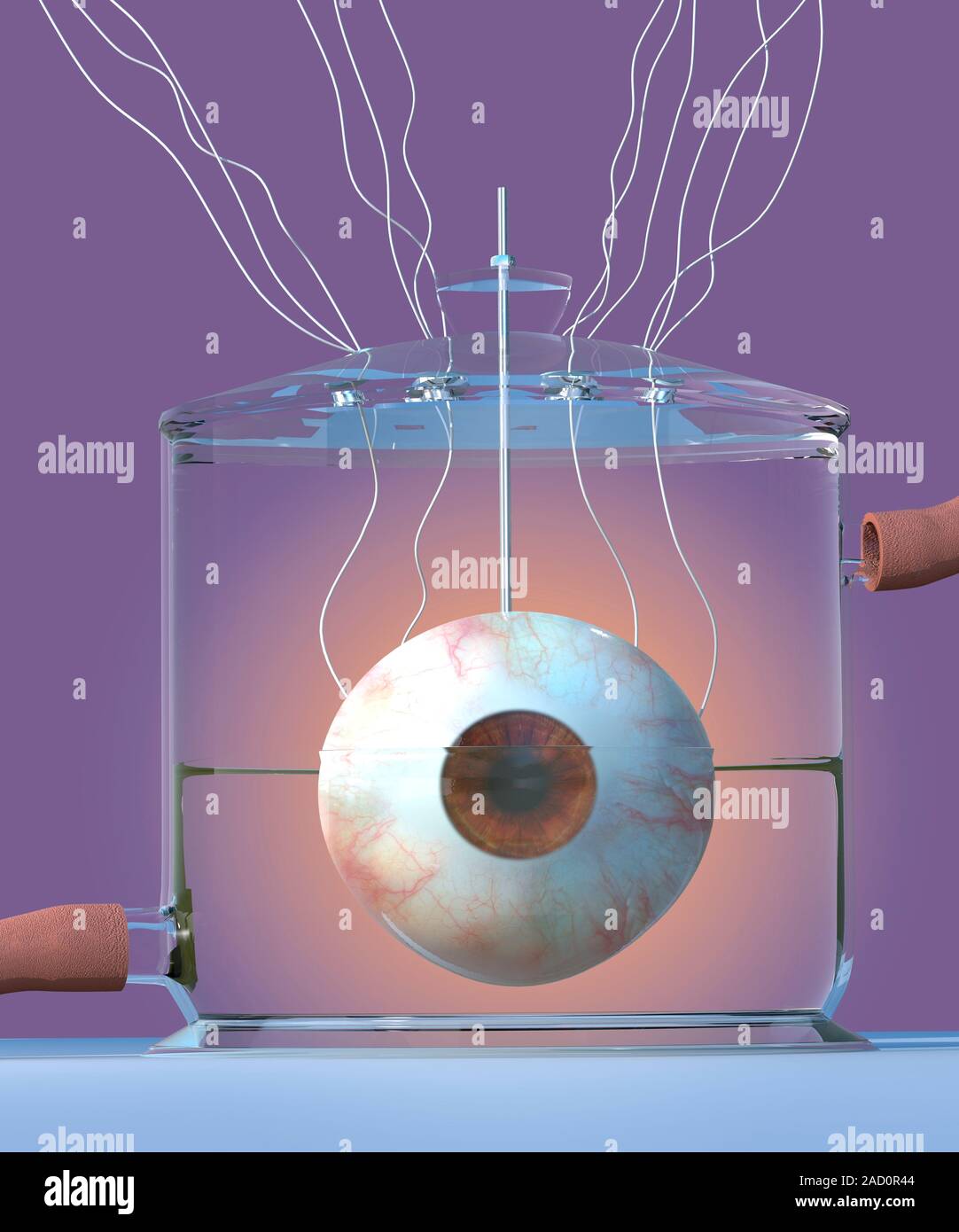 Spare eye, conceptual image. Computer illustration of a spare eye grown ...