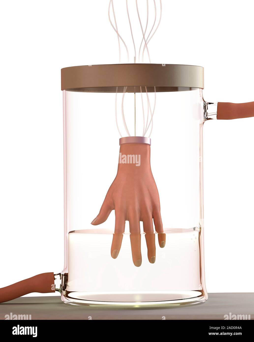 Spare hand, conceptual image. Computer illustration of a spare hand ...