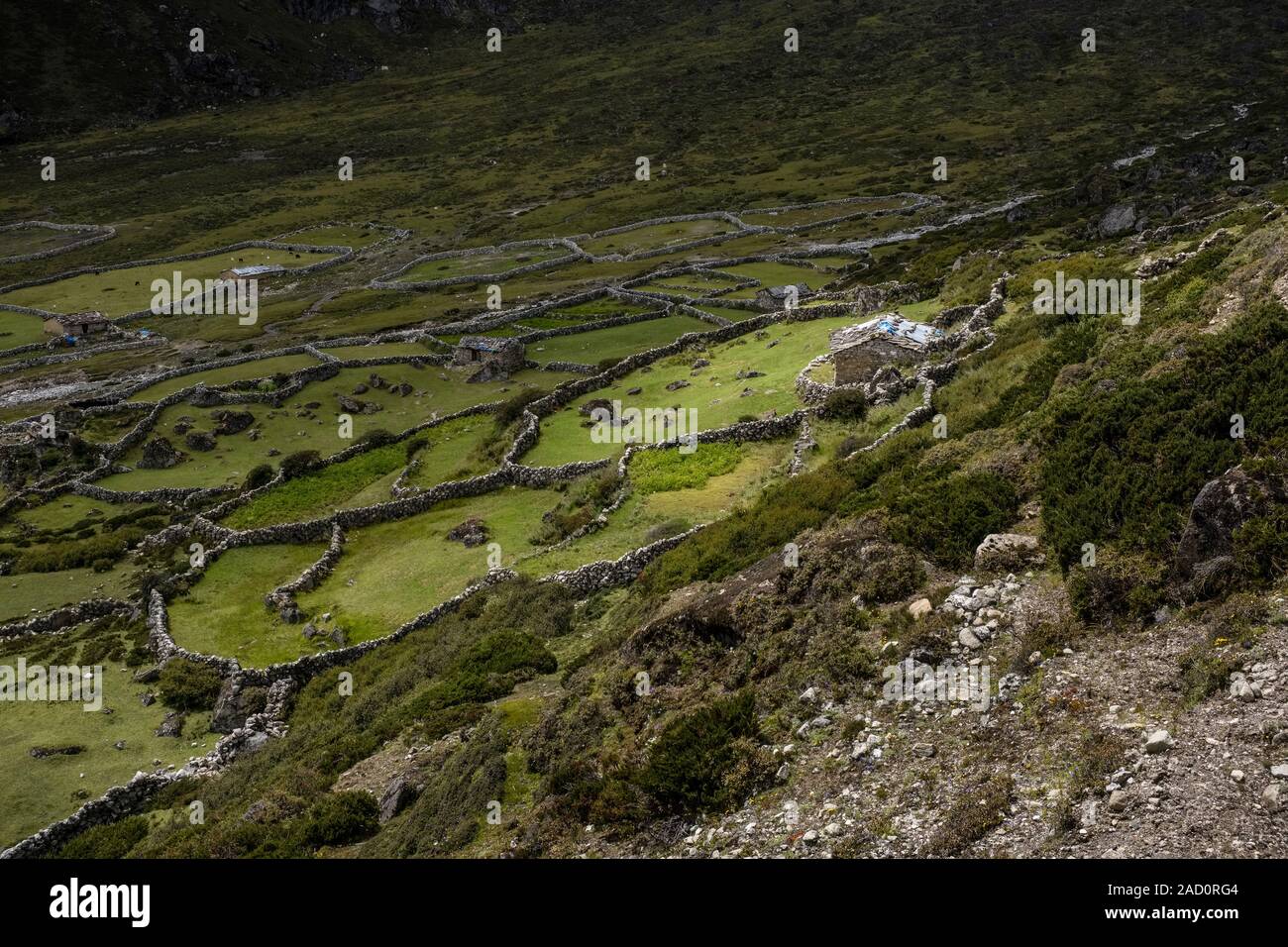Aerial view on a simple farmers stone house, surrounding fields framed ...
