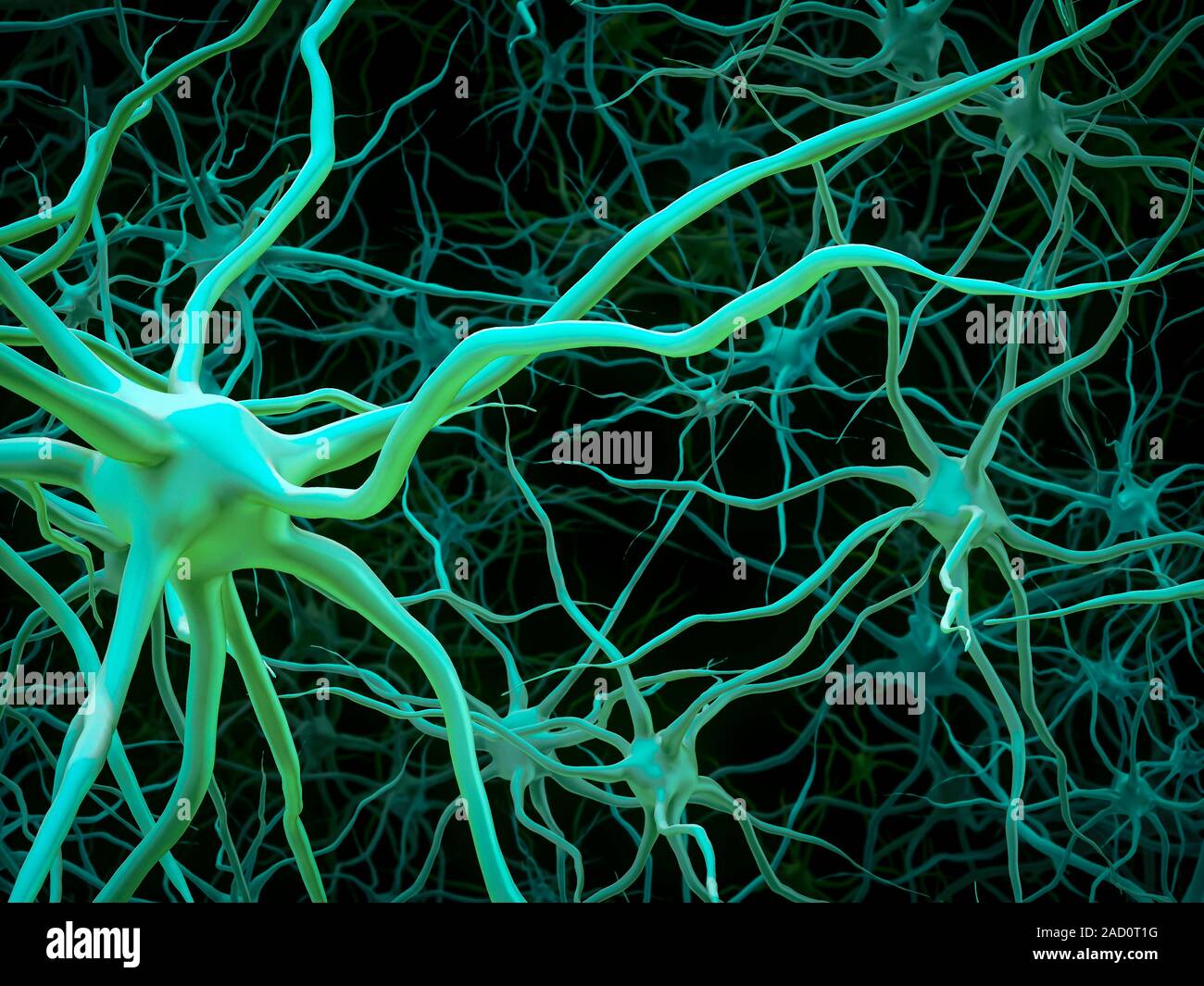 Neural network. Computer illustration of nerve cells, or neurons ...