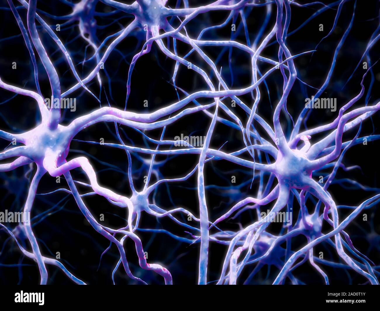 Neural network. Computer illustration of nerve cells, or neurons ...