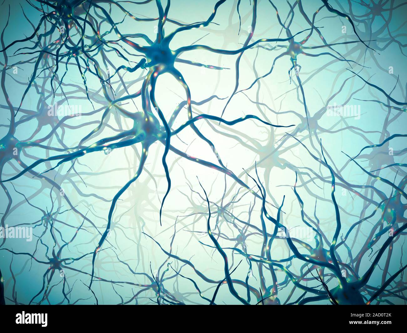 Neural network. Computer illustration of nerve cells, or neurons ...