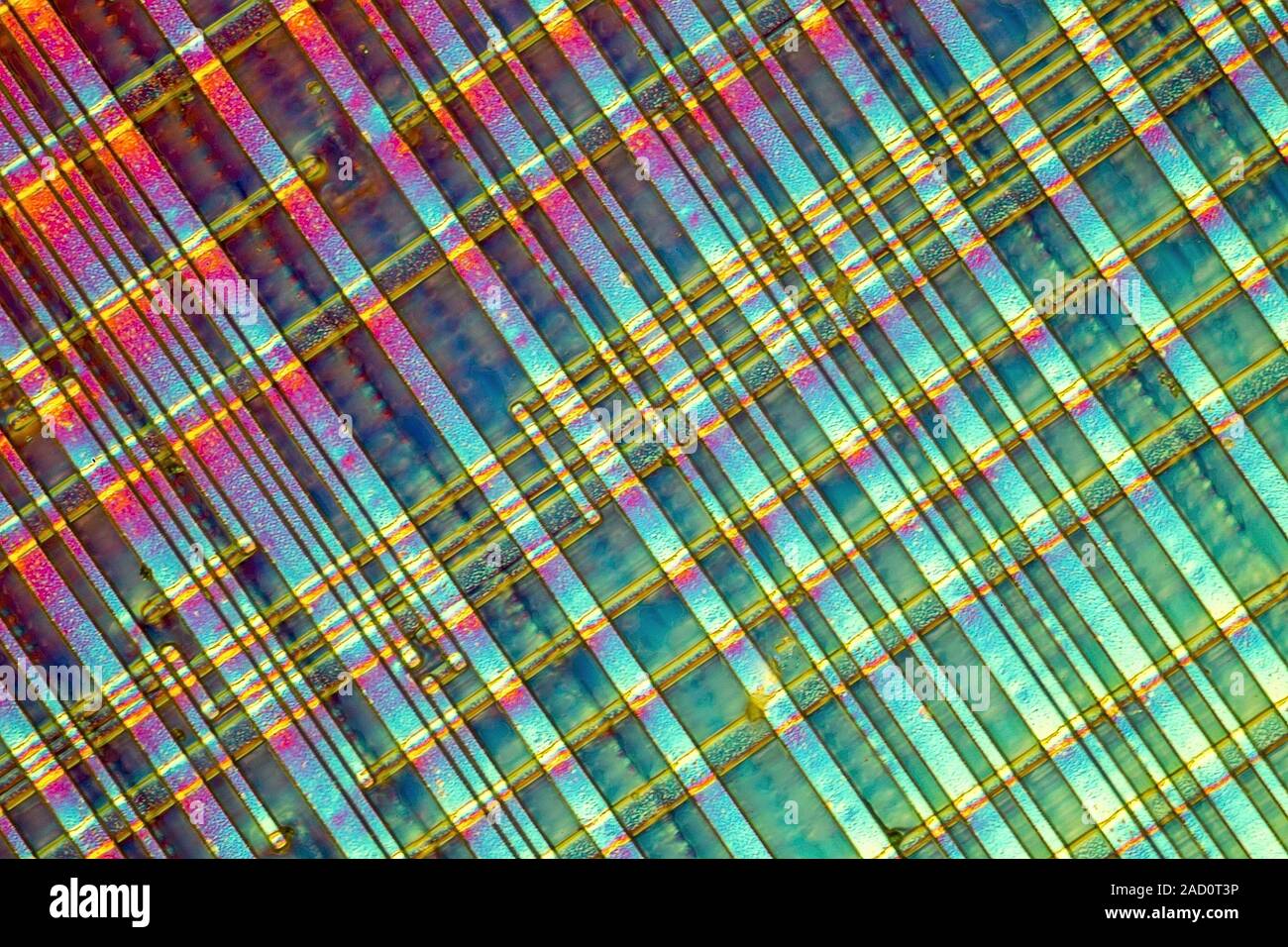 Light micrograph of a detail of a RAM computer memory chip. RAM is a ...
