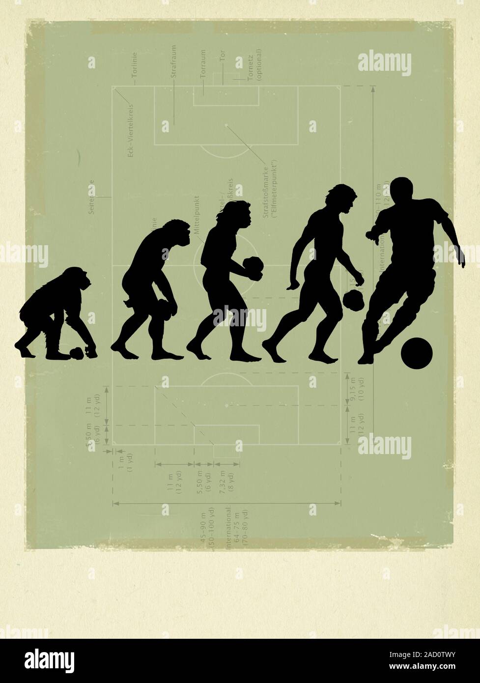 Human evolution. Conceptual image of a sequence showing primates ...