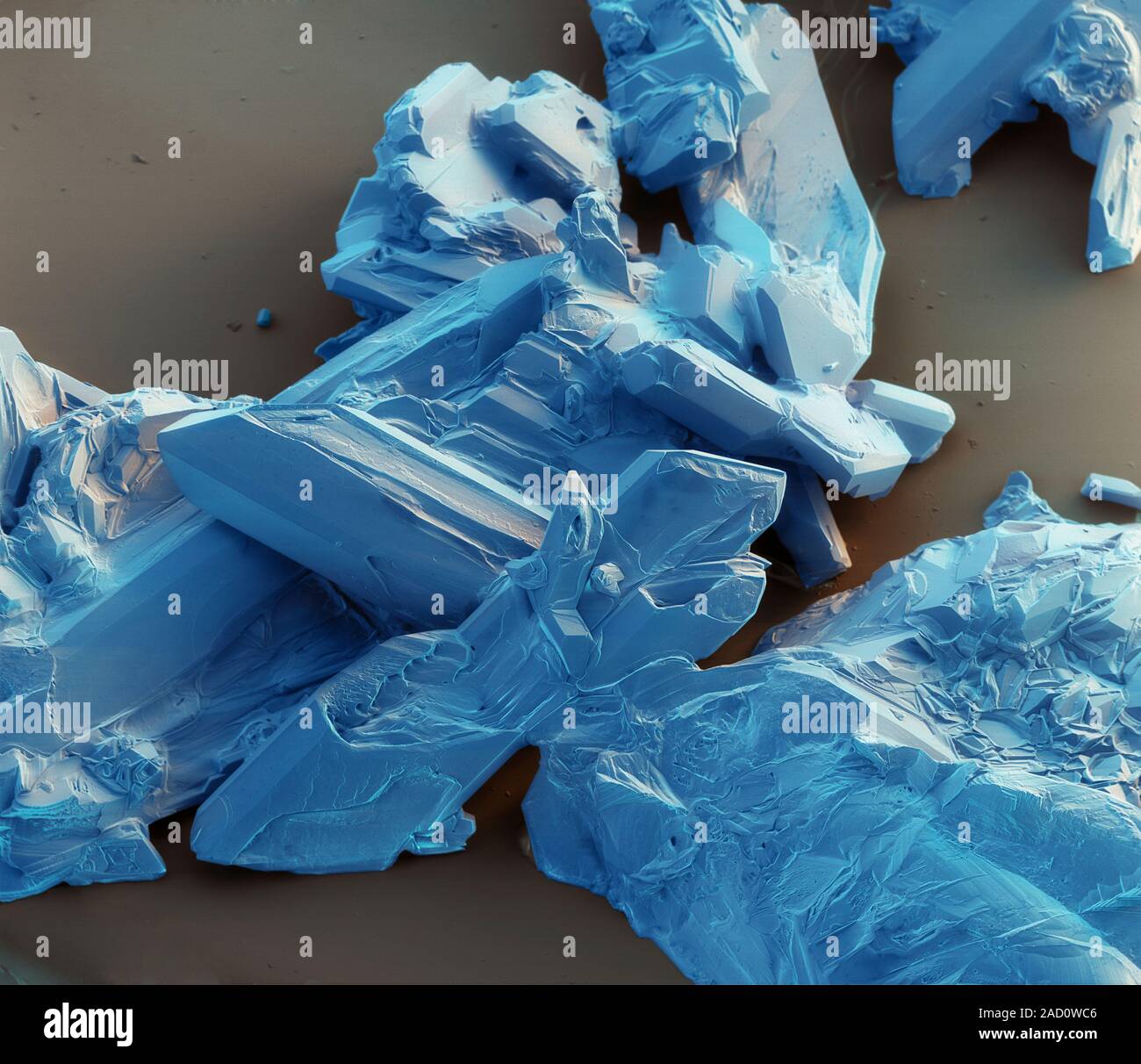 Hydrated copper (II) sulphate crystals, coloured scanning electron ...