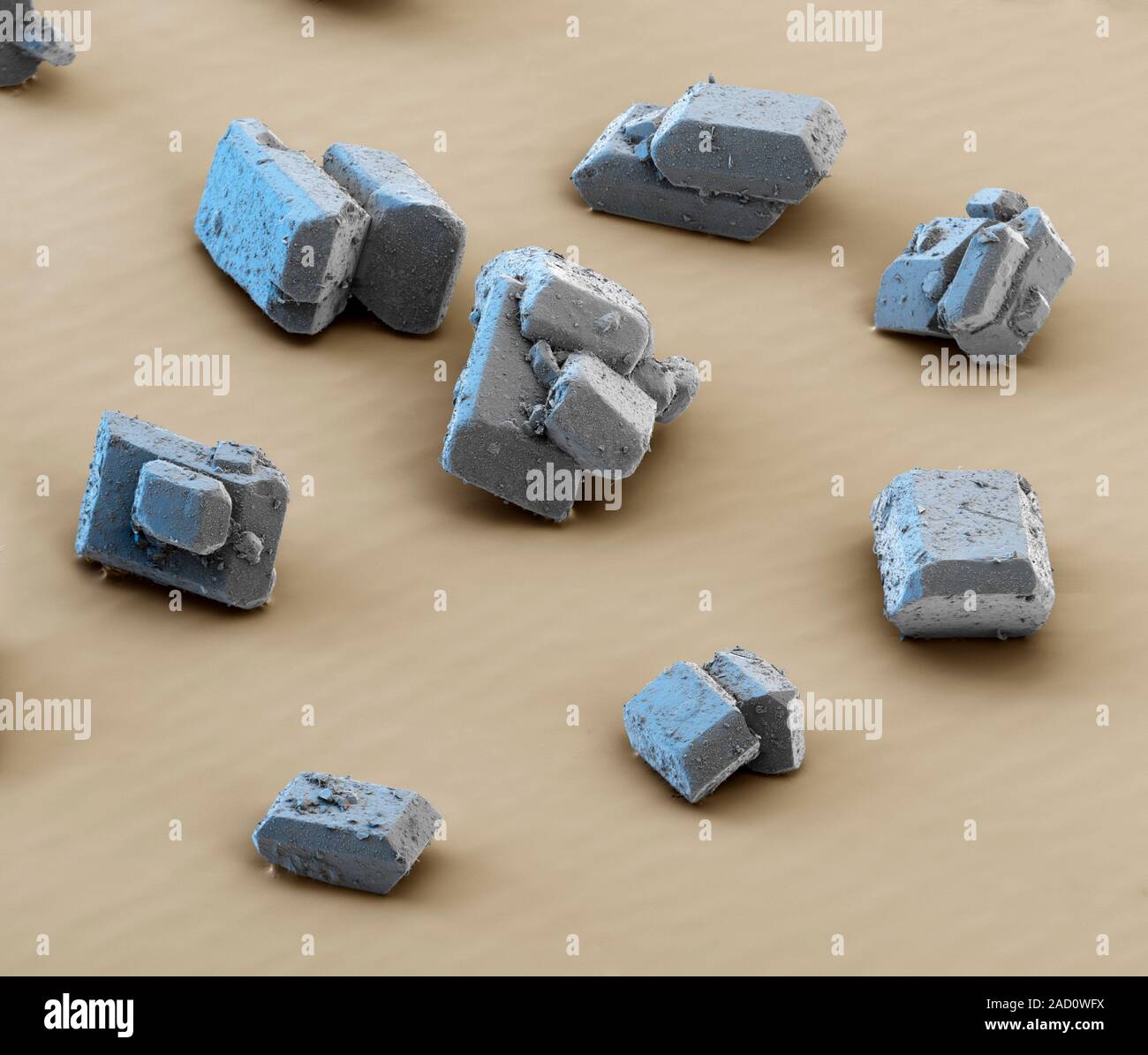 Sugar crystals. Coloured scanning electron micrograph (SEM) of sugar ...