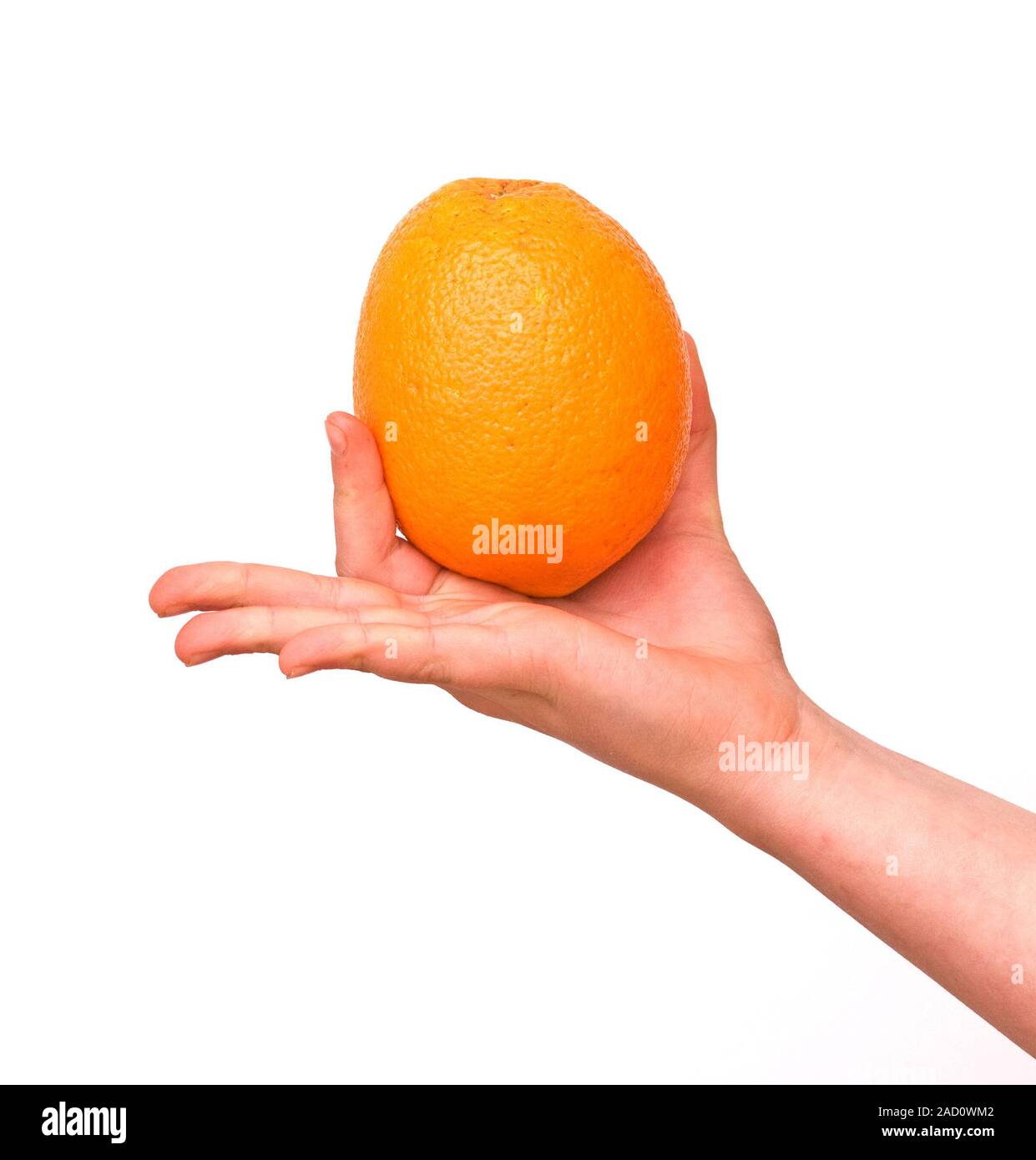 Hand with an orange isolated on white background Stock Photo - Alamy