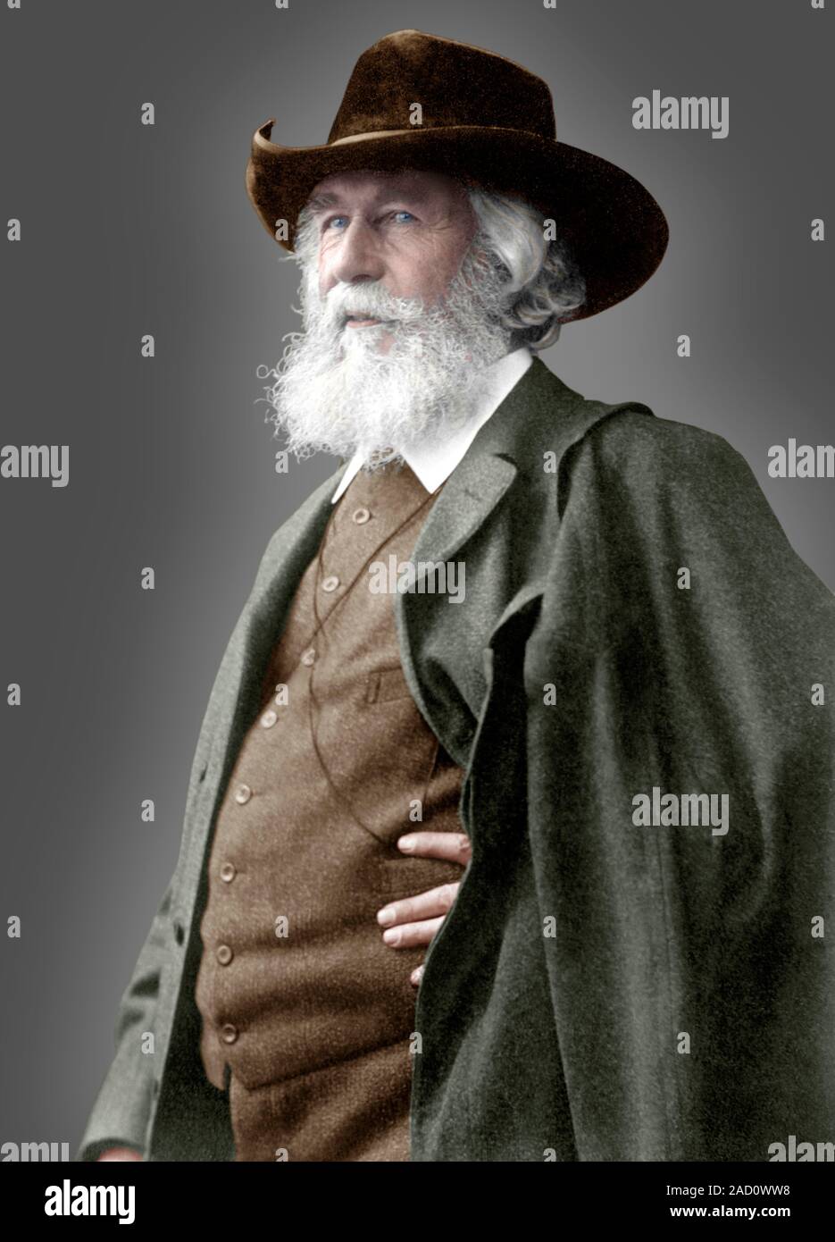 Ernst Heinrich Haeckel (1834-1919), German biologist and Darwinist ...