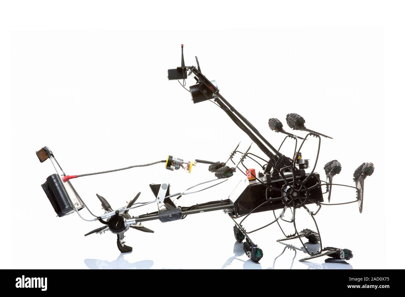 Leopard Gecko robot. View of the Cesar robot, Leopard Gecko. This robot ...