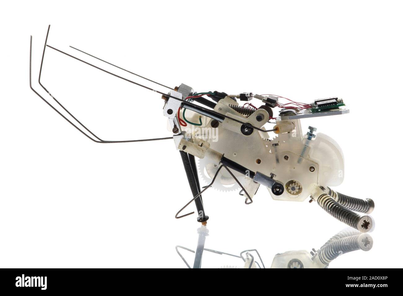 Cricket robot. This bio-inspired robot, designed by the Scuola ...