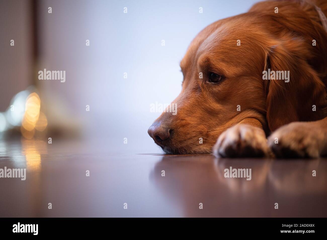 Vulnerable persons hi-res stock photography and images - Alamy