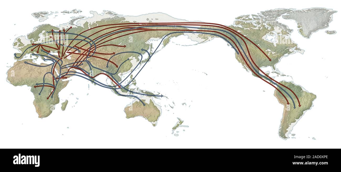 Human genetic lineages, world map. Many human populations carry genetic ...
