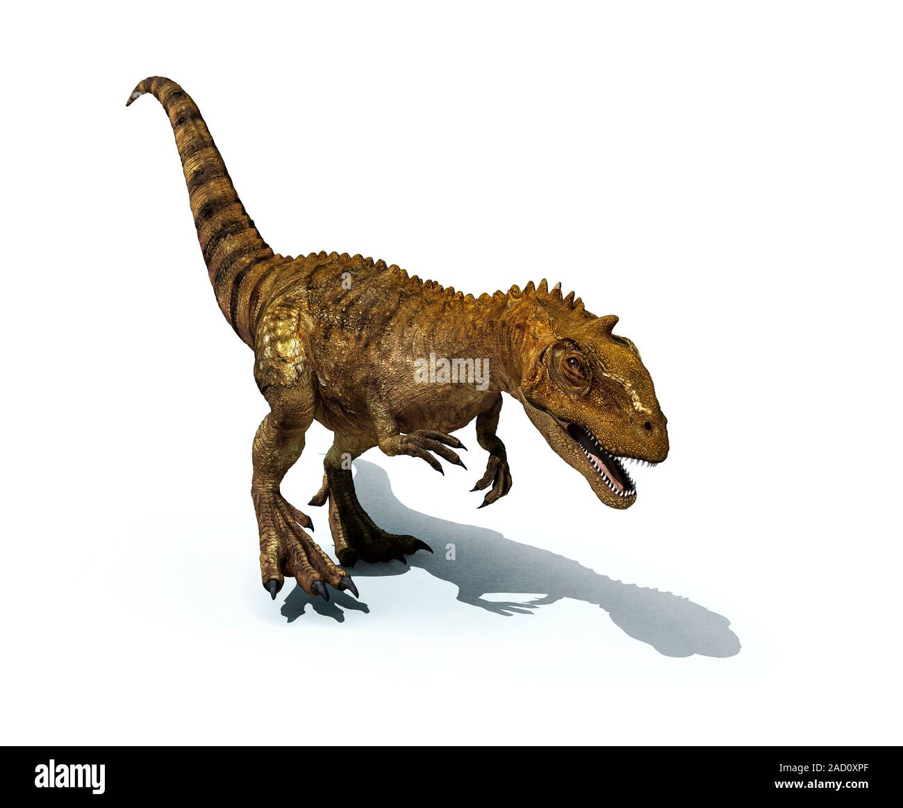 Majungasaurus dinosaur. Illustration of a Majungasaurus dinosaur, a ...