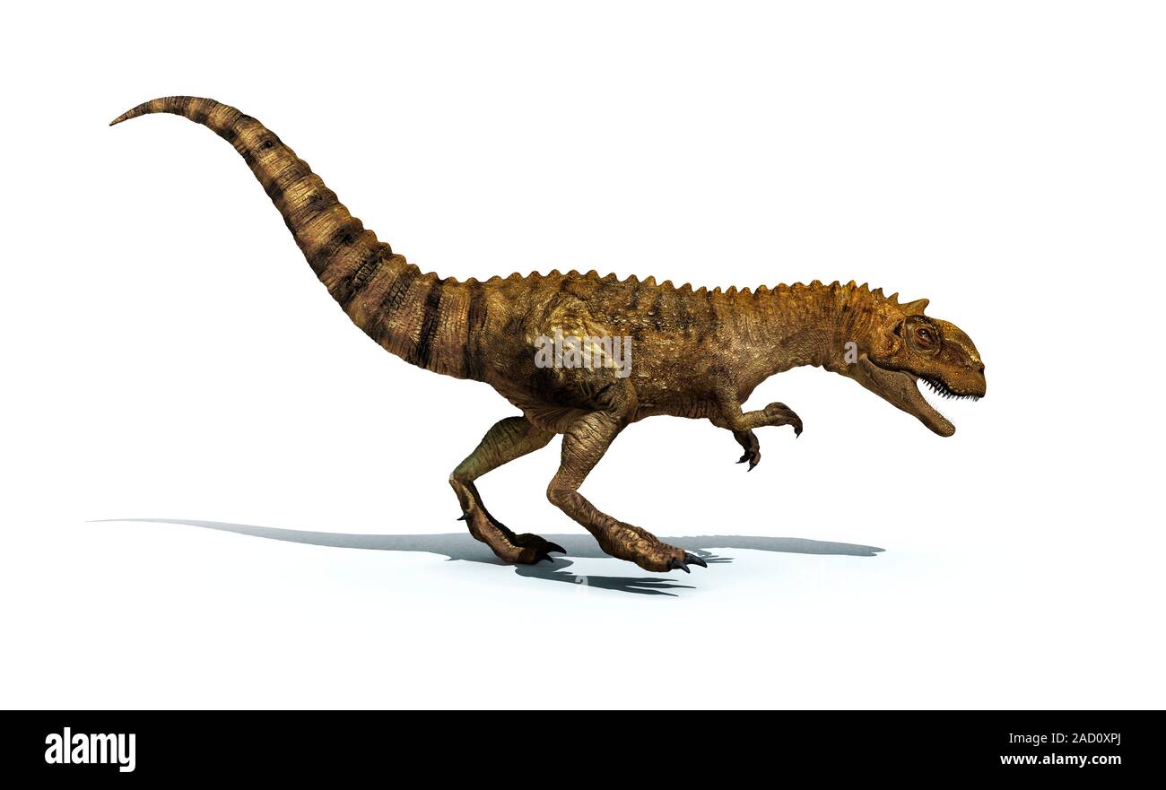 Majungasaurus dinosaur. Illustration of a Majungasaurus dinosaur, a ...