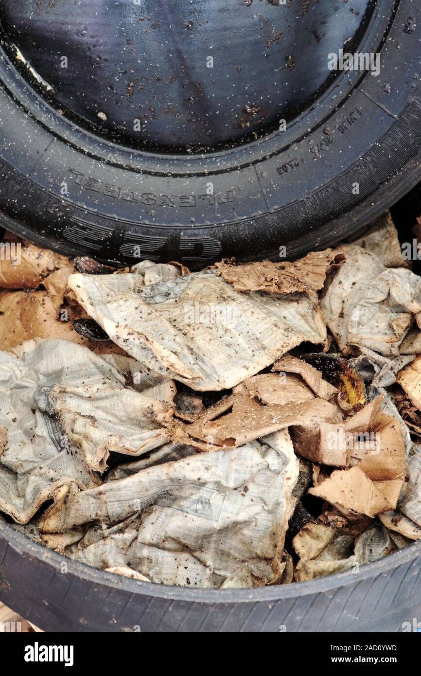 Wormery made from recycled car tyres. Close-up of organic waste in a ...