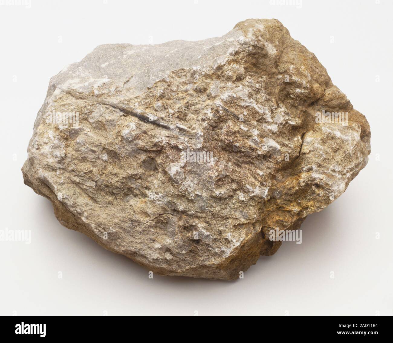 Limestone rock, close up Stock Photo - Alamy