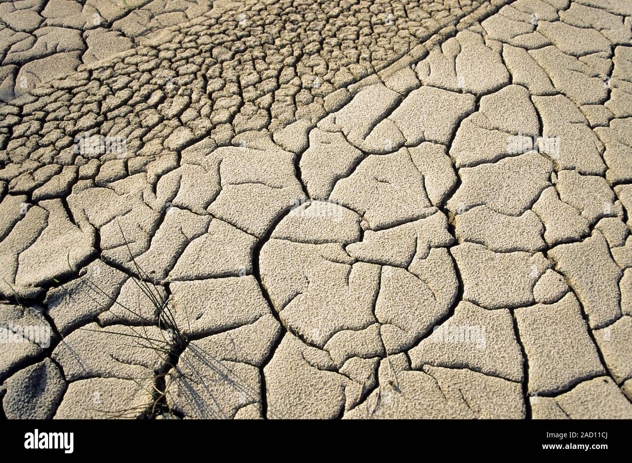 Dried up brook bed in midsummer / Kreis Steinburg - Schleswig-Holstein ...